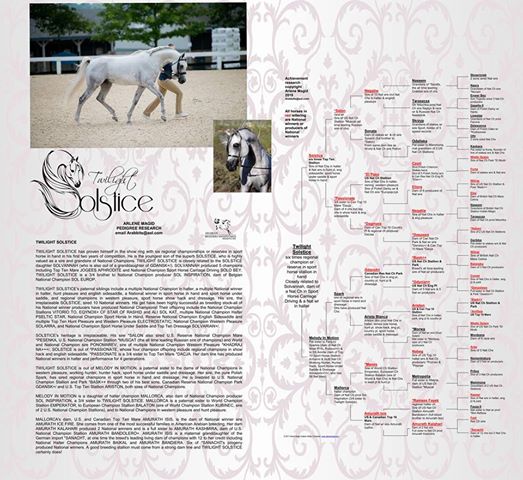 Arlene Magid ~ Pedigree Charts